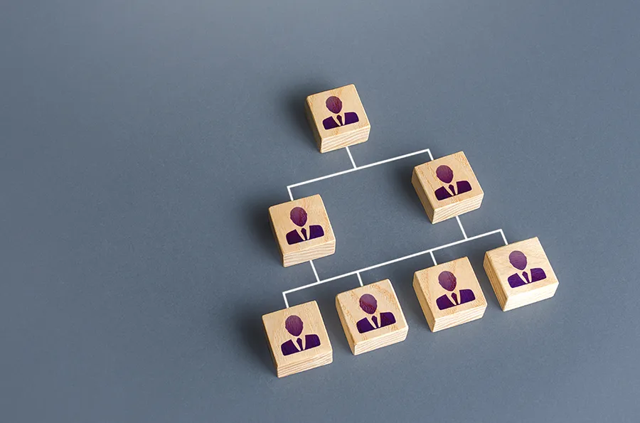 Business Entity - Beyond the Basics: